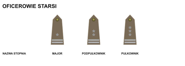 Stopnie wojskowe w Polsce – historia, znaczenie i współczesna struktura ...