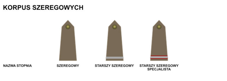 Stopnie wojskowe w Polsce – historia, znaczenie i współczesna struktura ...